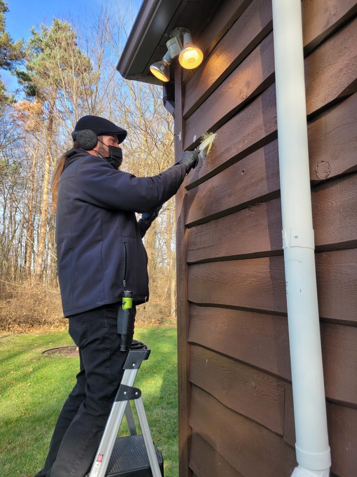 Top 10 Mouse-Proofing Tips for Your Home