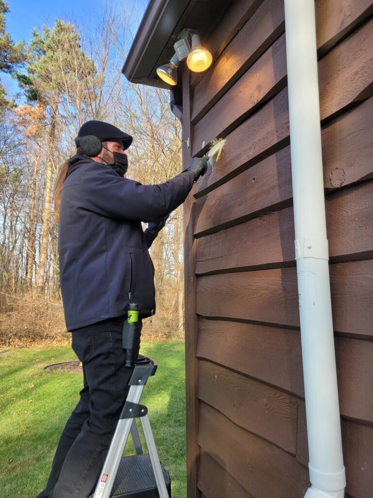 Top 10 Mouse-Proofing Tips for Your Home